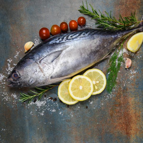 焼津 海の極 国産 マグロ まるごと 一匹 20kg 巨大鮪 マル 冷凍 海鮮丼 刺身 寿司 漬け丼 海伸 本場の海鮮 新鮮 業務用 飲食店 お店 ※冷凍のため解凍、保管に注意※この商品はキハダマグロまるごと一匹の商品です。その他のマグロは...