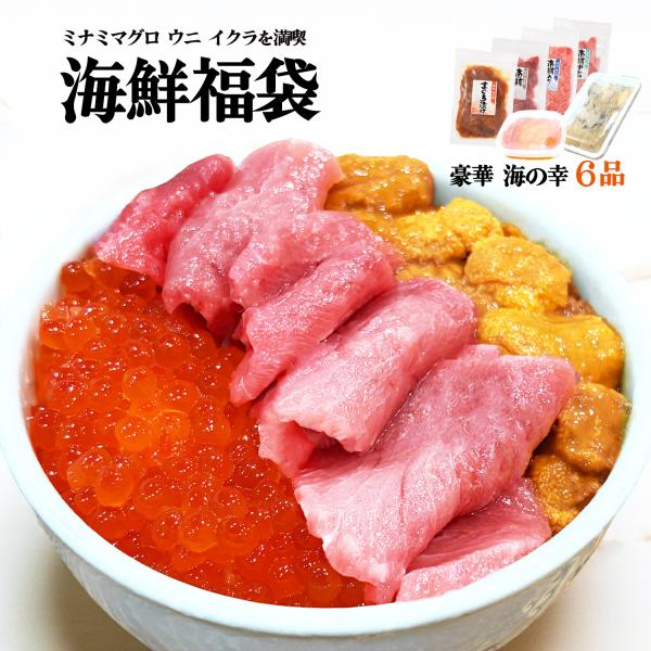 本場 海の幸 6品セット 中トロ入り 豪華 海鮮福袋 ミナミマグロ ウニ イクラ 約5〜6人前 お刺身カット済み 小分け ネギトロ づけ 焼津 海の極 本場の海鮮グルメ