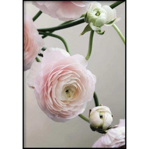 ポーランドを拠点に活動するグラフィック・チーム、Glam Postersは箔押しやホログラフィーを使った特殊ポスターやアブストラクトなカラーペイントのアート、シンプルなモノクロ・コラージュなど、USやUKを中心に取り扱われています。「Jew...