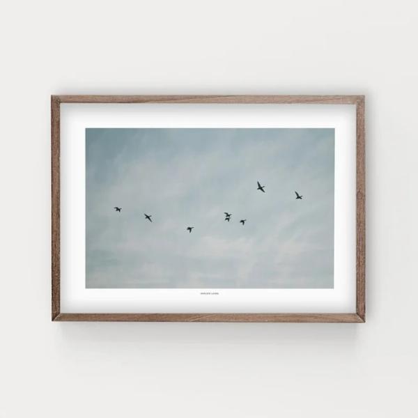 イスラエルの都市、Tel AvivをベースにMichal Markoを中心としたライフスタイル・ブランド、Micushのオフシュートブランドでアートフォトグラフィに焦点を絞ったブランド、Simplistic Layersによるポスターが入荷...