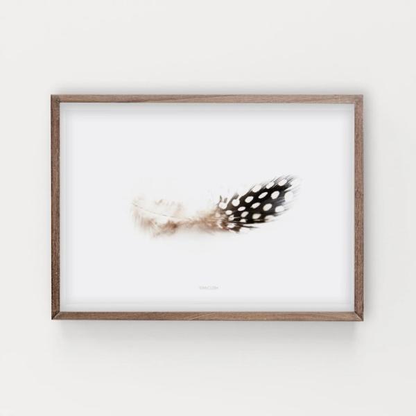 イスラエルの都市、Tel AvivをベースにMichal Markoを中心としたライフスタイル・ブランド、 Micushのオフシュートブランドでアートフォトグラフィに焦点を絞ったブランド、Simplistic Layersによるポスターが入...