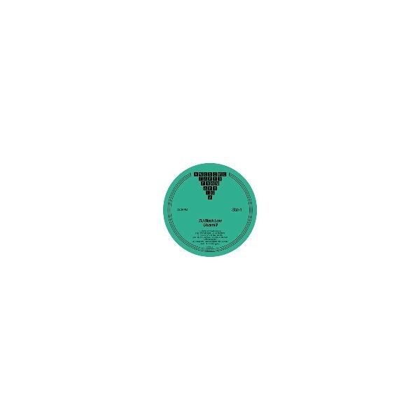 昨年『Uwami』で国際的なシーンに登場したアマピアノのアーティストDJ Black Low。今作はデビューアルバムに収録しきれなかった楽曲と新曲「Gijima」を収録した作品。TRACKLISTA1. Alone in a DarkA2....