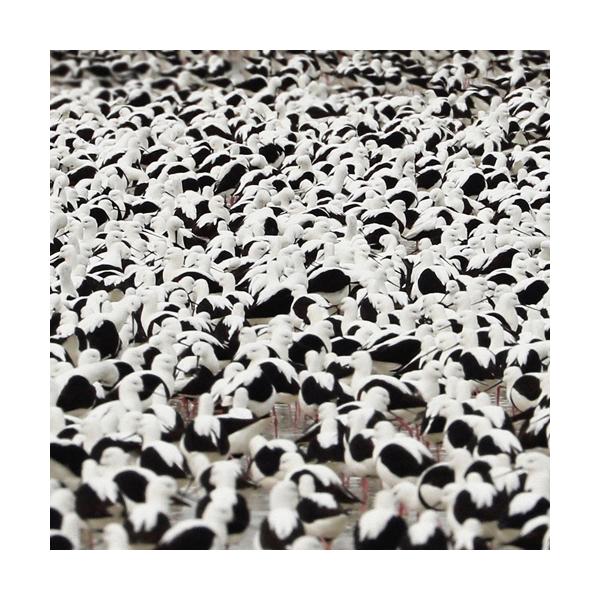 オーストラリアのミュージシャン、Stella Donnellyは2022年8月26日、＜Secretly Canadian＞よりセカンド・アルバム『Flood』をリリース。こちらはレコードです。輸入限定盤、クリアー・レッド・ヴァイナル仕様。...