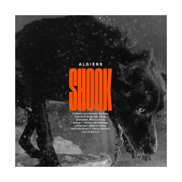 ボーダレスでエモーショナルなオルタナティヴ・サウンドでTVオン・ザ・レディオやヤング・ファーザーズとも比肩されながら独特なキャリアを積み上げてきたアトランタ発の4人組バンド、アルジェ待望の最新作『Shook』が＜Matador＞よりリリース...