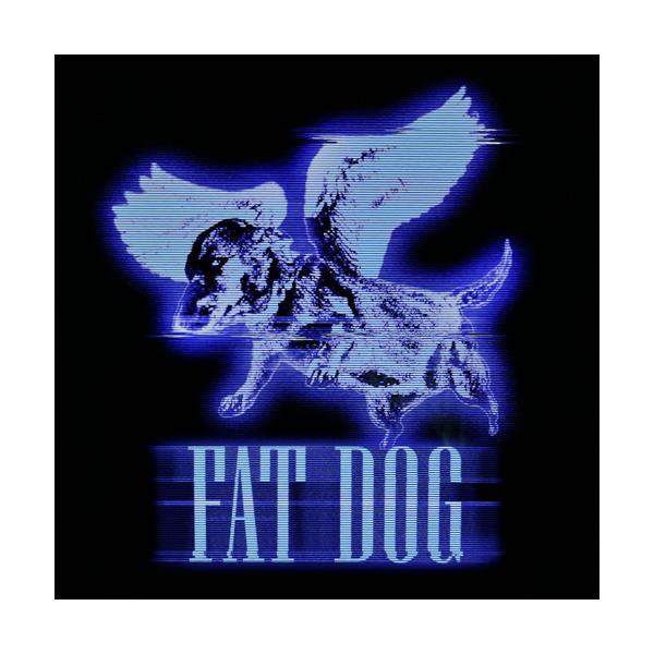 〈Domino〉が送り出す期待の新人ファット・ドッグによる2ndシングルが数量限定7インチでリリース！TRACKLISTA. All The SameB. Land Before Time【商品詳細】品番: RUG1410製造国 / 年: ...