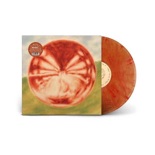 プロデューサー／演奏者としての才能を持ったシンガーソングライターBloomsdayによる2年ぶりのフルアルバム！TRACKLISTA1. Where I End and You BeginA2. Virtual HugA3. Dollar ...