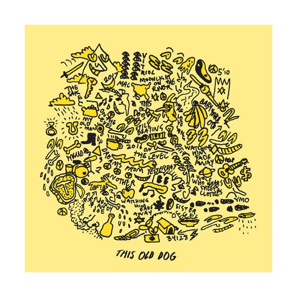 世界的に大好評を博した前作『SALAD DAYS』から約3年ぶり、インディ・ロック界の新たなる“ゆるゆるヒーロー”ことMAC DEMARCOの2017年リリースの傑作アルバム！TRACKLISTA1. My Old ManA2. This ...