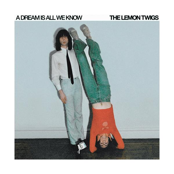 ニューヨークの愛される兄弟デュオ、The Lemon TwigsがCaptured Tracksからニュー・アルバムをリリース！TRACKLISTA1. My Golden YearsA2. They Don't Know How To F...