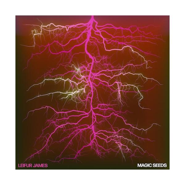 ロンドンの革新的な電子音楽プロデューサー、Leifur Jamesが3枚目のアルバム『Magic Seeds』を〈Night Time Stories〉からリリース。TRACKLISTA1. Smoke in the AirA2. Magi...