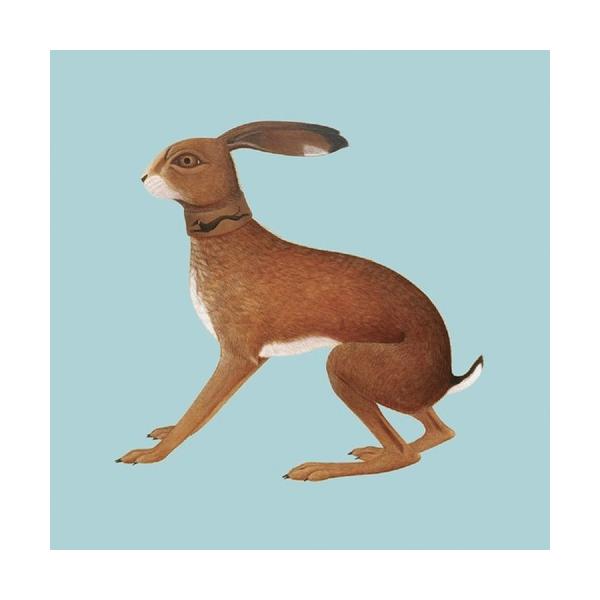 Vashti Bunyanの『Lookaftering』が20周年を迎えた。これを記念して、またVashtiの80歳の誕生日も記念して、エクスパンデッド・エディションがリリースされる。TRACKLISTDisc 1A1. LatelyA2....