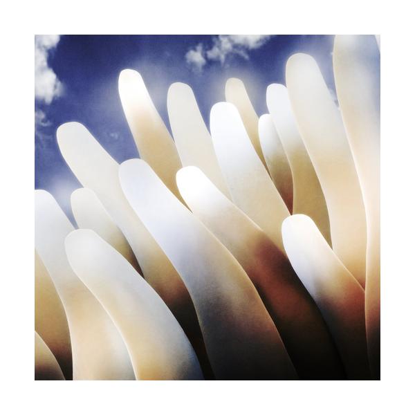 本作『Dreamliner』は、よりダイレクトかつ推進力のある作品。スペーシーなコズミック風味のトリップホップを探求し、全8曲のトラックは穏やかでキラキラした雰囲気を漂わせる。TRACKLISTA1. WickerA2. Dreamline...