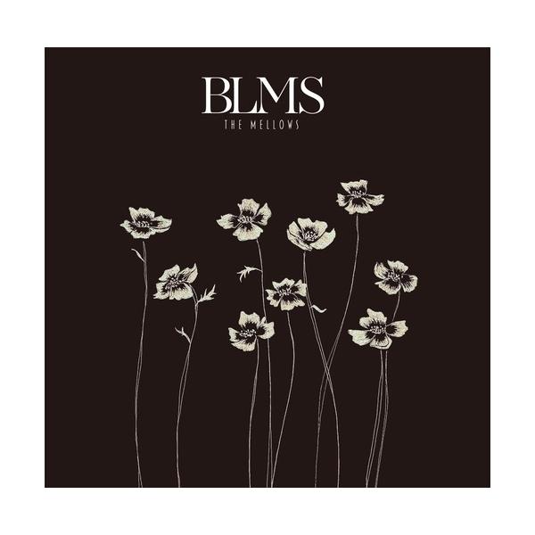 ノスタルジックでサイケデリックなサウンドを展開するバンド、The mellows。2017年の結成後、2nd EP『Take me out of this world』がApple Musicの「今週のNEW ARTIST」に選出され話題と...