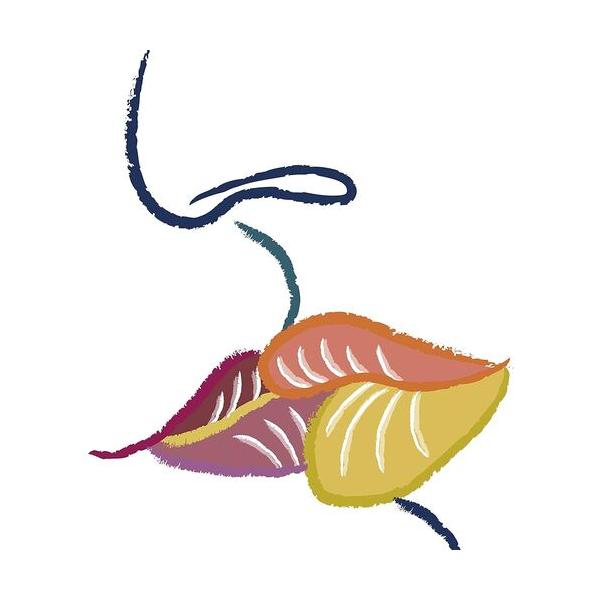 グローバルからお茶の間まで破竹の勢いでその"音"と"名前"が浸透中のKan Sanoによるニューアルバム！限定版付属のDISC2は全曲即興のソロピアノアルバム『写し鏡のソロピアノ』！TRACKLISTDISC 1『Susanna』1. Fl...