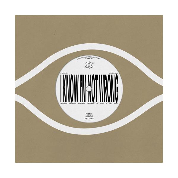 ジャズ〜アンビエント界の注目株Sam Wilkes。本作では、ベースから一歩離れ、長年の友人Brian Robert Jones（Paramore, Vampire Weekend）から借りたフェンダー社のストラトキャスターを手に、Tom ...