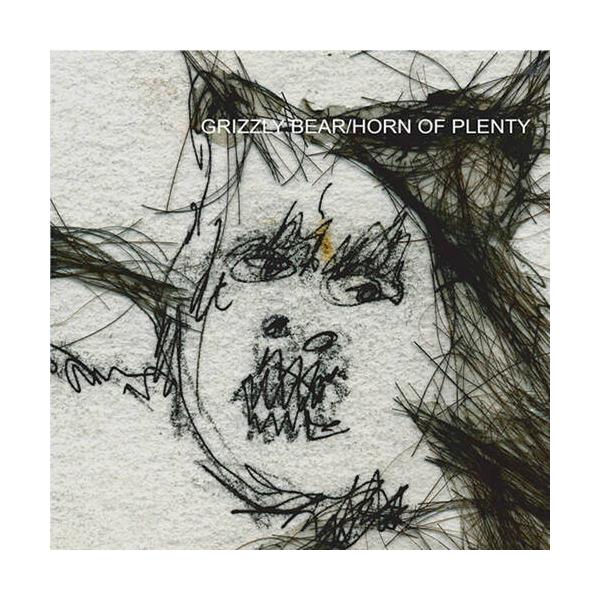 2004年に結成されたシンガー・ソングライターのEd Droste、ドラマーのChristopher Bear、マルチ奏者でベーシストのChris Taylor、そしてシンガー・ソングライターでありギタリストでもあるDaniel Rosse...