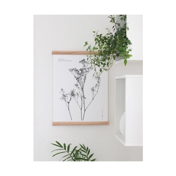 イスラエルの都市、Tel AvivをベースにMichal Markoを中心としたライフスタイル・ブランド、Micushによるアートプリントが入荷しました。鉢植えに観葉植物や木々をモチーフにしたイラストレーション・シリーズはシンプルで北欧イン...