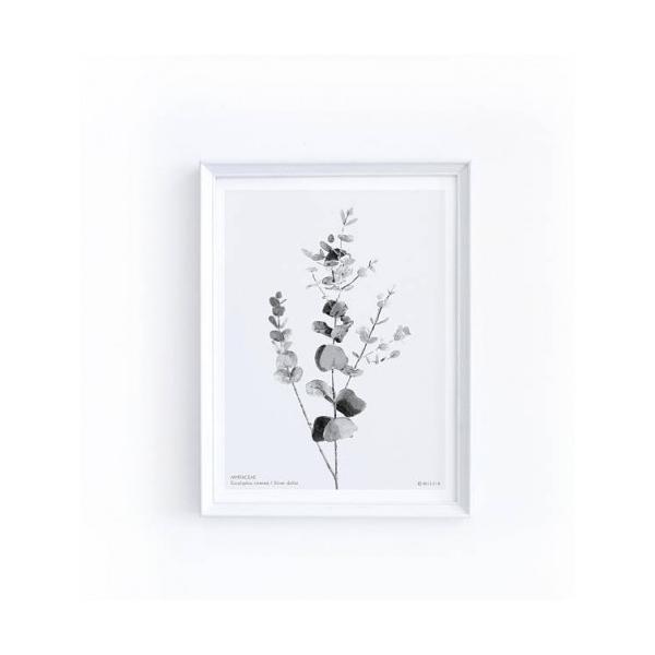 イスラエルのブランド、Micushによるボタニカル・アート！ イスラエルの都市、Tel AvivをベースにMichal Markoを中心としたライフスタイル・ブランド、Micushによるアートプリントが入荷しました。鉢植えに観葉植物や木々を...