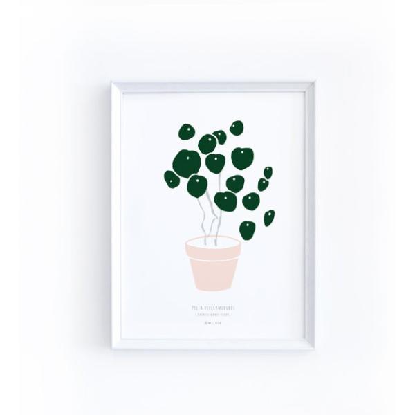 イスラエルのブランド、Micushによるボタニカル・アート！ イスラエルの都市、Tel AvivをベースにMichal Markoを中心としたライフスタイル・ブランド、Micushによるアートプリントが入荷しました。鉢植えに観葉植物や木々を...