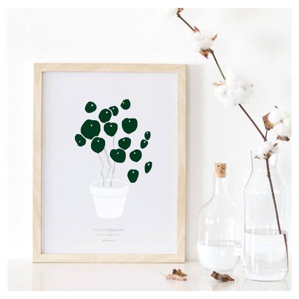 イスラエルの都市、Tel AvivをベースにMichal Markoを中心としたライフスタイル・ブランド、Micushによるアートプリントが入荷しました。鉢植えに観葉植物や木々をモチーフにしたイラストレーション・シリーズはシンプルで北欧イン...