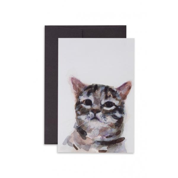 カナダ・トロントを拠点とするアクリル、水彩を用いたペインティング・アーティスト、Jamie Ashforthによるグリーティング・カードが入荷しました。 自然や動物、ボタニカルなどをモチーフにした作品はカラフルに描かれたものからごくシンプル...