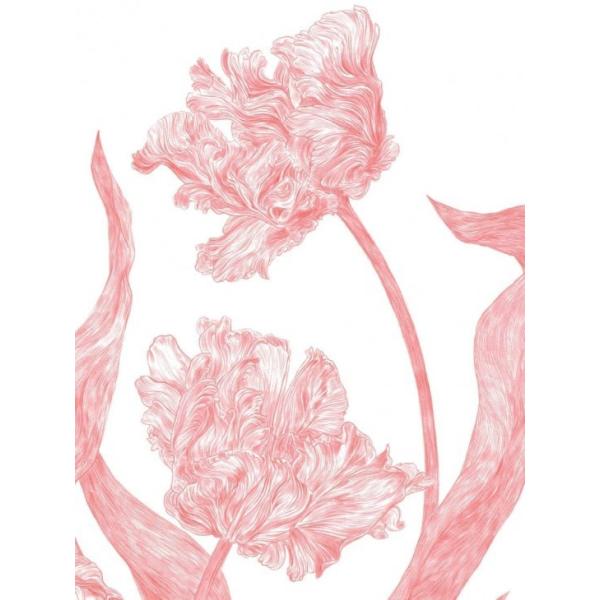 デンマーク・コペンハーゲンを拠点とする2018年に設立された北欧の新しいブランド、Project Nordからポスターが入荷しました。瑞々しい北欧デザインをベースとした作風は、リビングにすぐに彩りを与えてくれる、北欧ポスターの中でも特に注目...