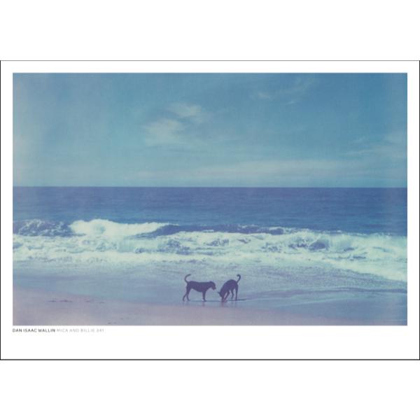 スウェーデンのDan Isaac Wallinはキャリアのあるフォトグラファー。ポラロイドやアナログを愛し、デジタル編集を行うことなく、有効期限切れのポラロイドフィルムを使用してオリジナリティ溢れる作品を生みだします。スウェーデンの田舎や美...