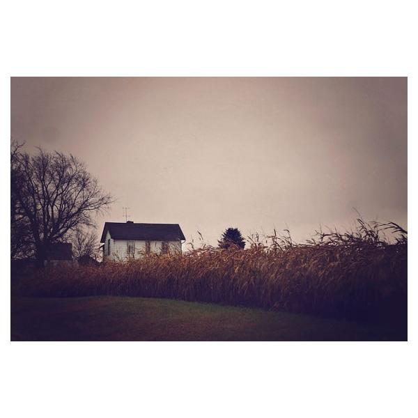 【ネコポス配送OK】Elle Mossによるフォトアート！『Apple Valley Review』『Juxtapoz Magazine』などの掲載、Etsyでは公式でフィーチャーされるなど素晴らしい写真作品を生み出す米・ミシガンの女性デザ...