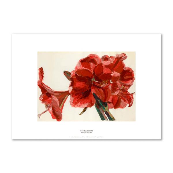 世界一美しいと賞賛されるデンマークの美術館『ルイジアナ美術館』がキュレーションするオフィシャルのアートポスター・コレクション。インゲ・エレガードの作品「アマリリス」を描いたルイジアナ美術館の版画。 Inge Ellegaard (1953-...
