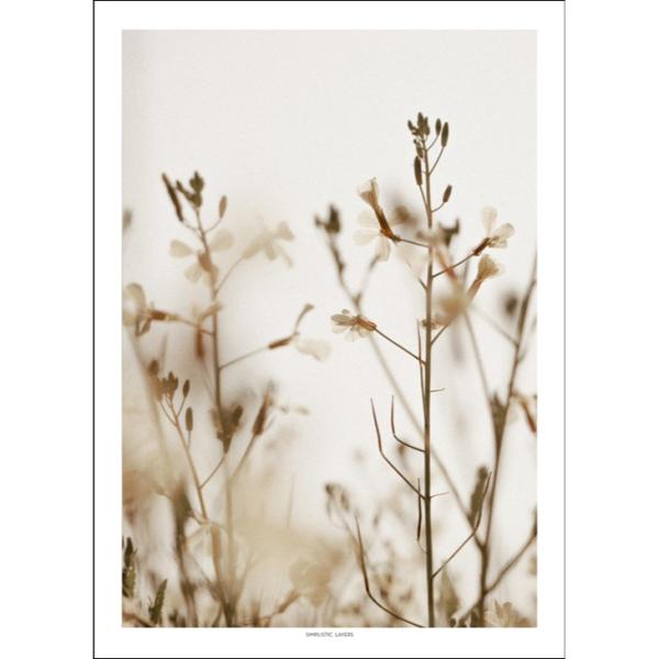 イスラエルの都市、Tel AvivをベースにMichal Markoを中心としたライフスタイル・ブランド、 Micushのオフシュートブランドでアートフォトグラフィに焦点を絞ったブランド、Simplistic Layersによるポスターが入...