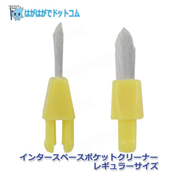 歯周ポケット内をやさしくクリーニング