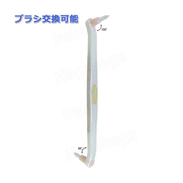 歯と歯の間や歯の根元の磨き残したプラーク除去に効果絶大