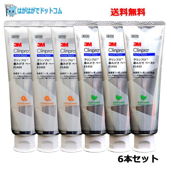 歯を健康にする“ミネラル”と歯を丈夫にして守る“フッ素”。これらの成分が一緒に入った新しいコンセプトの歯みがき粉。う蝕予防の強力な助っ人！