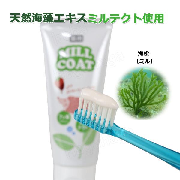 毎日使うものだから、ミルコートの６つのやさしさ人工甘味料、アルコール、石油系界面活性剤、パラベンフリー　低刺激　低発泡性