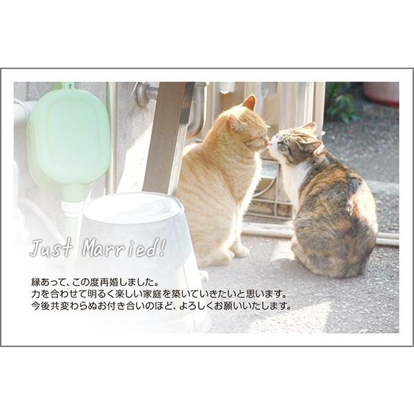 ●はがき　10枚セット●サイズ：100×148（mm）●宛名面は弊社オリジナルの「私製はがき」　※切手が必要です。ご準備ください。●コンパクトでエコな梱包♪　郵便受けに届くのでご不在でも受取可能です！●お支払い完了後、土日祝を除く２営業日以...