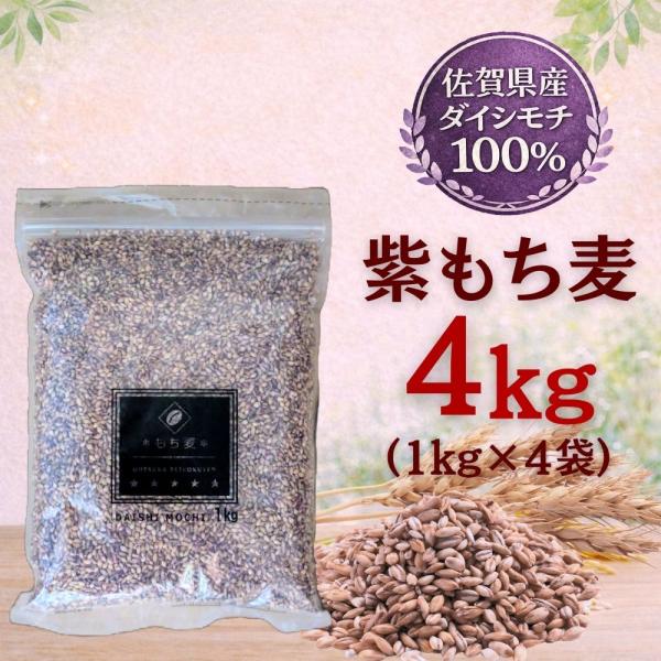 佐賀県産ダイシモチ(紫もち麦)100％五つ星お米マイスターが厳選した国産もち麦２kg(１kg×２袋)【ダイシモチとは？】紫色のもち麦でポリフェノールを多く含んでいます。安心の国産(佐賀県産)です。【美味しい食べ方】白米に混ぜて炊いたらもち麦...