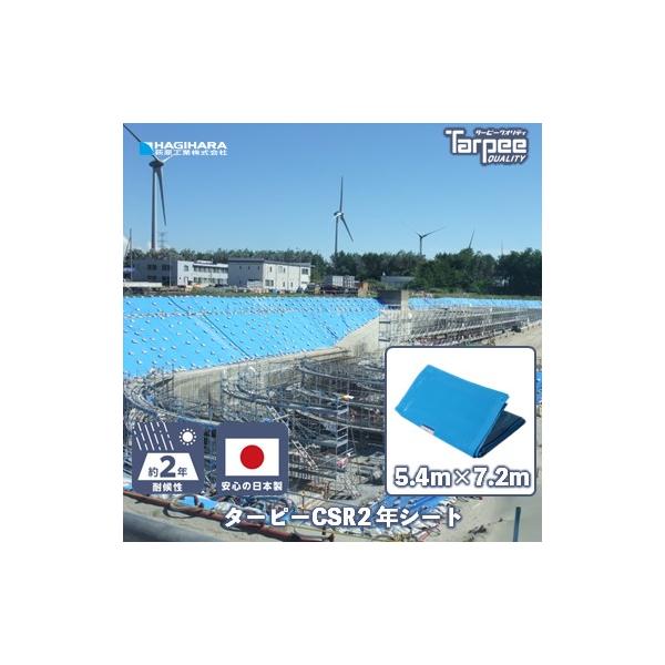 耐候性は約2年。コストと耐久性を兼ね備えた、幅広い用途に“ちょうどよい”ポジションのブルーシートです。【仕様】・色:Deep Blue・厚み:約0.14mm・ジョイントトホールピッチ:約90cm(ジョイントホール数::28個)・耐用年数目安...