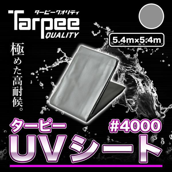 [商品情報][特長]耐候剤を添加した長寿命タイプのUVシートです。長期間にわたる野ざらしでも使用可能ですので、工場関係の長期野積みに最適なシートです。[商品名]ターピー UVシート #4000[色]・シルバー[規格寸法]5.4mx5.4m[...
