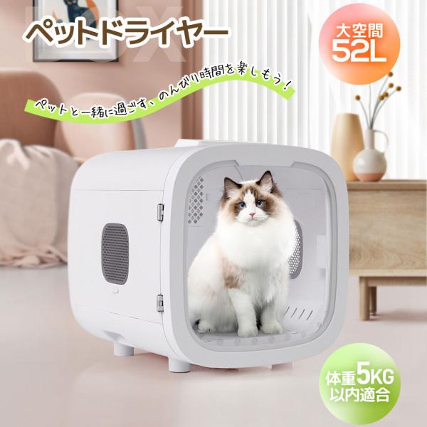 ◎一年品質保証◎■材質ABS■商品サイズ38.5*46*50CM■梱包サイズ55.5*49.5*51.5CM■原産国中国■返品、交換について※ご使用に支障ない程度の運送によるキズや、シミなどが発生する可能性がございます。※ご使用に支障のない...