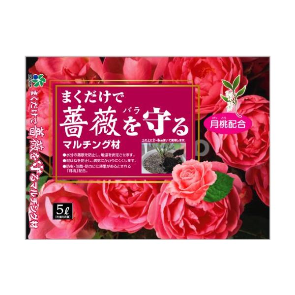 ■システム反映の都合上、ご購入後でも品切れになっている場合があります。その場合、ご登録のメールアドレスに通知致します。必ずご確認をお願いします。■サイズ・カラー等の記載が無い場合や複数記載がある場合があります。ご不明点は、ご購入前にご質問く...