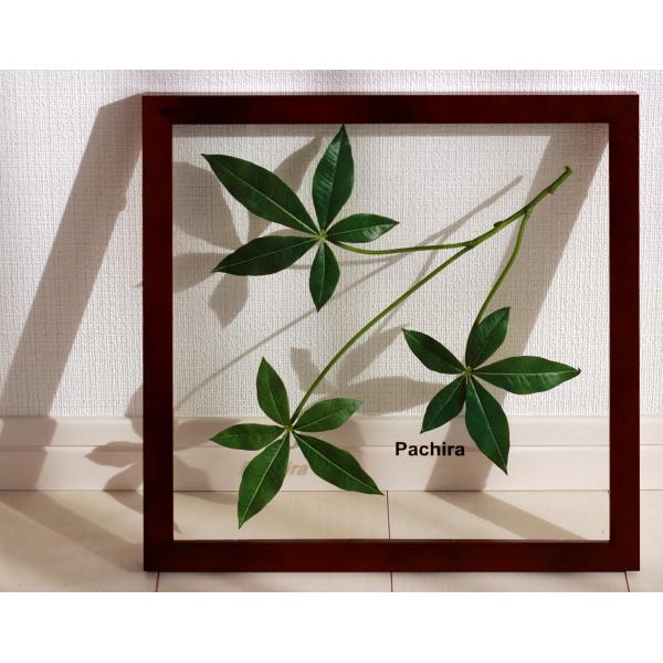 ■システム反映の都合上、ご購入後でも品切れになっている場合があります。その場合、ご登録のメールアドレスに通知致します。必ずご確認をお願いします。■サイズ・カラー等の記載が無い場合や複数記載がある場合があります。ご不明点は、ご購入前にご質問く...