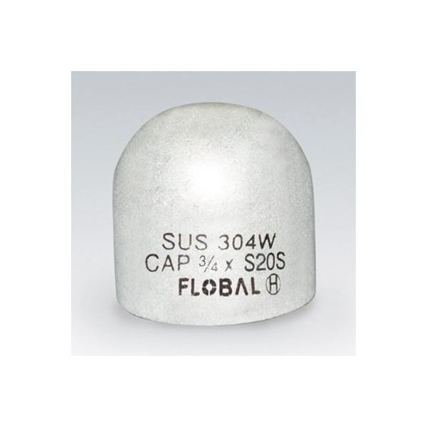 ●メーカー:フローバル●型式:B-CA-20S-2”●A:50●B(in):2”●φD1:60.5●E:38.1●T:3.5●重量:0.210Kg●出荷目安:即日出荷