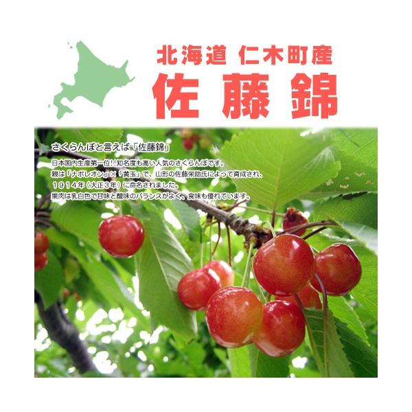 ★北海道　余市郡　仁木町産【佐藤錦】さくらんぼ　500g入になります！★北海道のさくらんぼはまだまだ知られていませんが、本州より少し遅めの旬になるので　お中元やプレゼントにも最適です。★大きさは、アソートサイズ(サイズがそろっていません）で...