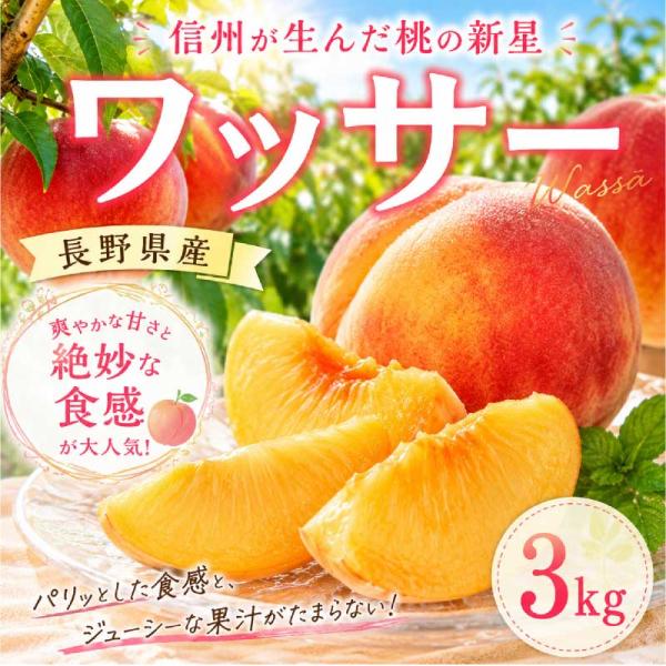 ★約３kg入(10個前後)になります！大きさによって個数は異なります！★桃とネクタリンの自然交配から生まれた新品種の桃です!!★熟しても硬いのが特徴で、シャキシャキの食感が癖になります!!★気にならない方は、皮付きのまま食べられるので、手も...