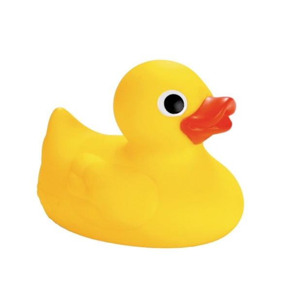 【発売日：2023年01月07日】当ショップ内の商品を2点以上ご購入で送料無料となります。