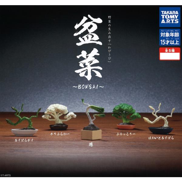 野菜の生み出す「わびさび」【全5種コンプリートセット】・あすぱらがす・かりふらわー・葱・ぶろっこりー・ほわいとあすぱら【メーカー名】タカラトミーアーツ【注意事項】・お使いのモニターの発色具合によって、実際のものと色が異なる場合がございます。...