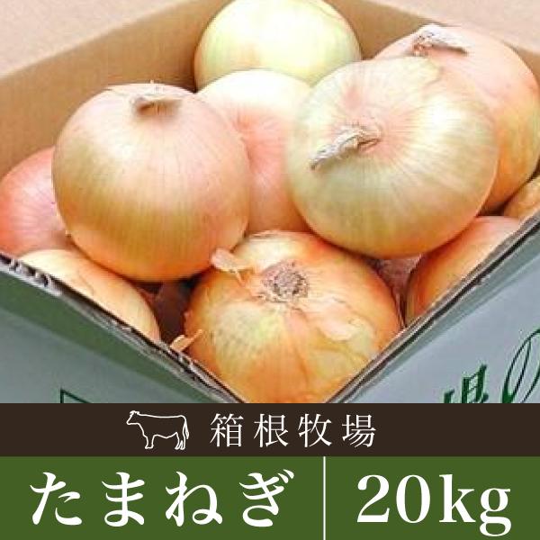 ようやくご案内できました！今年はじゃがいも同様、春先からの高温及び干ばつで収量が大幅に減少、さらに葉枯れが例年にないほど早くになってしまい、大変過酷な年となりました。品質的には問題ないのですが、全体的に小粒でサイズが小さいものが多くなってし...