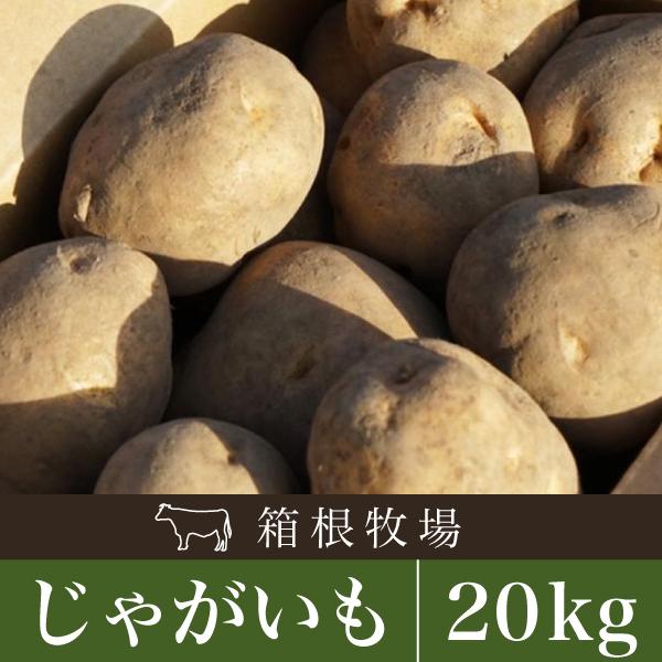 今年も収穫できました！男爵、きたあかり、さやあかね、マチルダの4種のじゃがいものトップバッターの男爵！今年は春先からの高温及び干ばつで収量が大幅に減少、さらに花が咲いた直後に葉が枯れてしまい大変過酷な年となりました。品質的には問題ないのです...