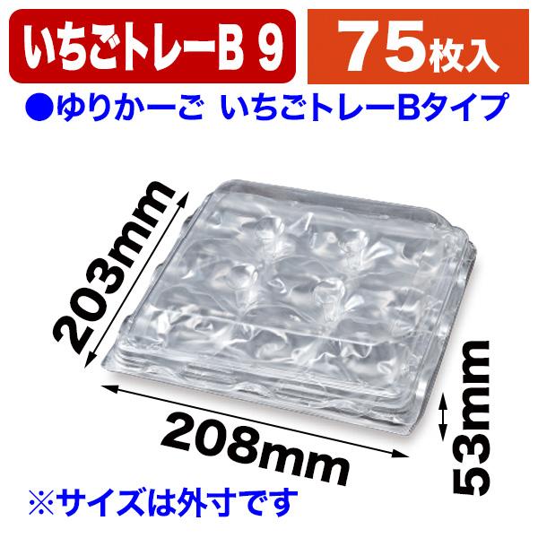 《仕様》─────────────────　［サイズ］208×203×53mm（外寸）　［材　質］本体／PET　上フィルム／PE　［重　量］47g　［　色　］透明　［形　状］トレー（フタ一体型）　［品　種］フルーツ用パック　［入　数］75枚...