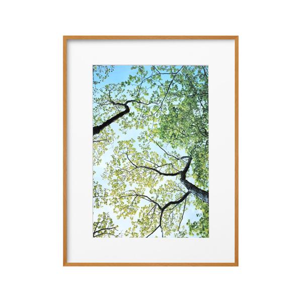 軽くて割れないＺＥＲＯフレーム。前面板はガラスを使っていないので従来の額縁より軽くて割れる心配もないので安心です。細身のフレームにＶカット※ワイドマットが、お写真を引き立てます。※Ｖカットとは、中抜きの断面を斜めにカットして、お写真までの奥...