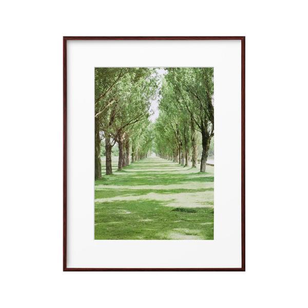 【アウトレット 訳あり特価】製品やパッケージに多少のスレや汚れ等がありますが、商品状態は良く使用上の問題はございません。個々の状態についてのお問い合わせにはお答え出来ませんので、予めご了承ください。軽くて割れないＺＥＲＯフレーム。前面板はガ...